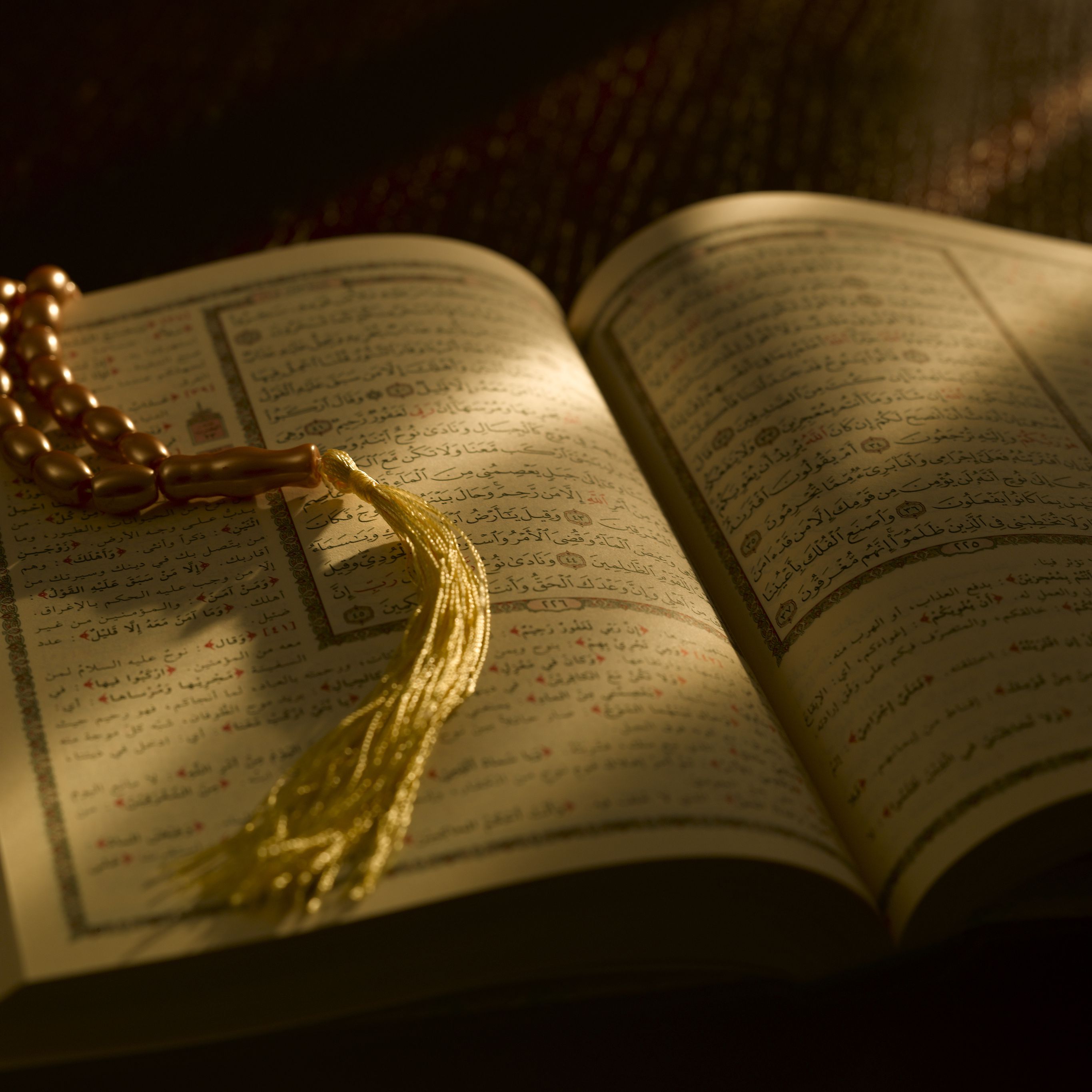 Punjab Govt Orders Holy Quran Teaching in Universities Result.pk