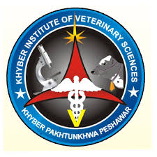Khyber Institute of Veterinary Sciences Peshawar DVS Admissions 2024 Result.pk