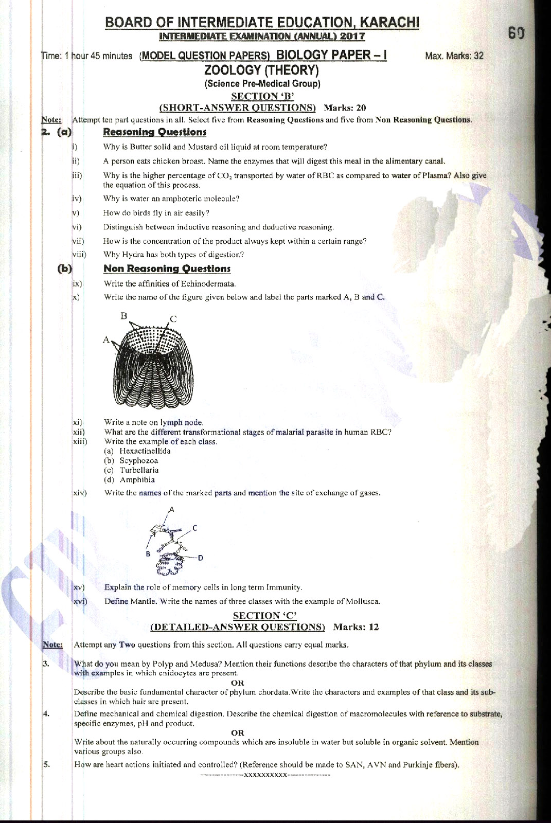 BIEK Karachi Board Model Papers 2025 Inter Part 1 2, HSSC, FA, FSC ...