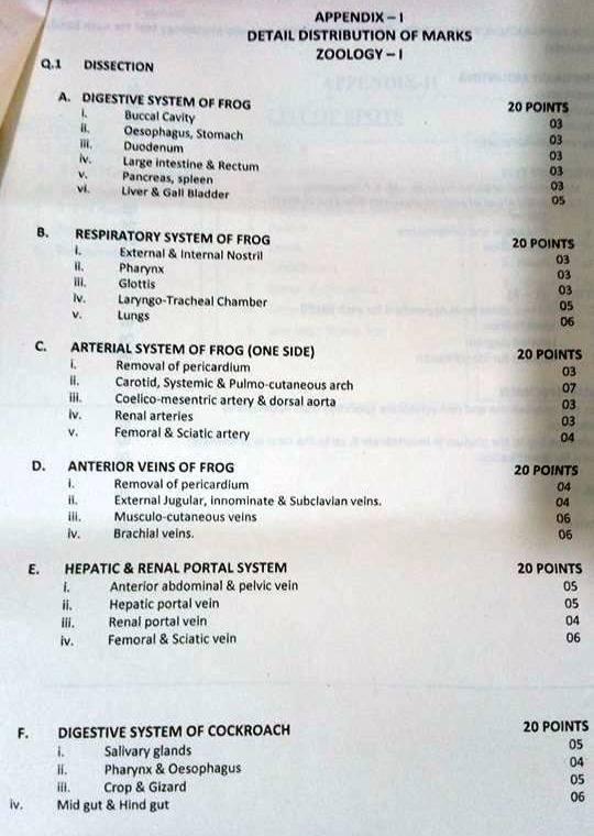 BIEK Karachi Board Model Papers 2025 Inter Part 1 2, HSSC, FA, FSC ...