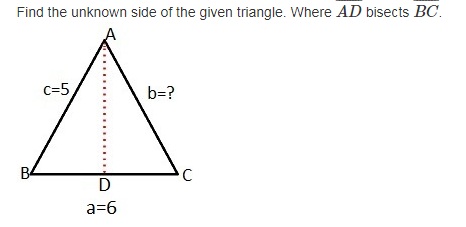 Projection Of A Side Of A Triangle Chapter 8 Math 10th Class MCQ Test ...